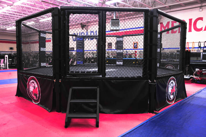 Daily Rental - Pro Boxing MMA Cage – Pro Boxing Supplies
